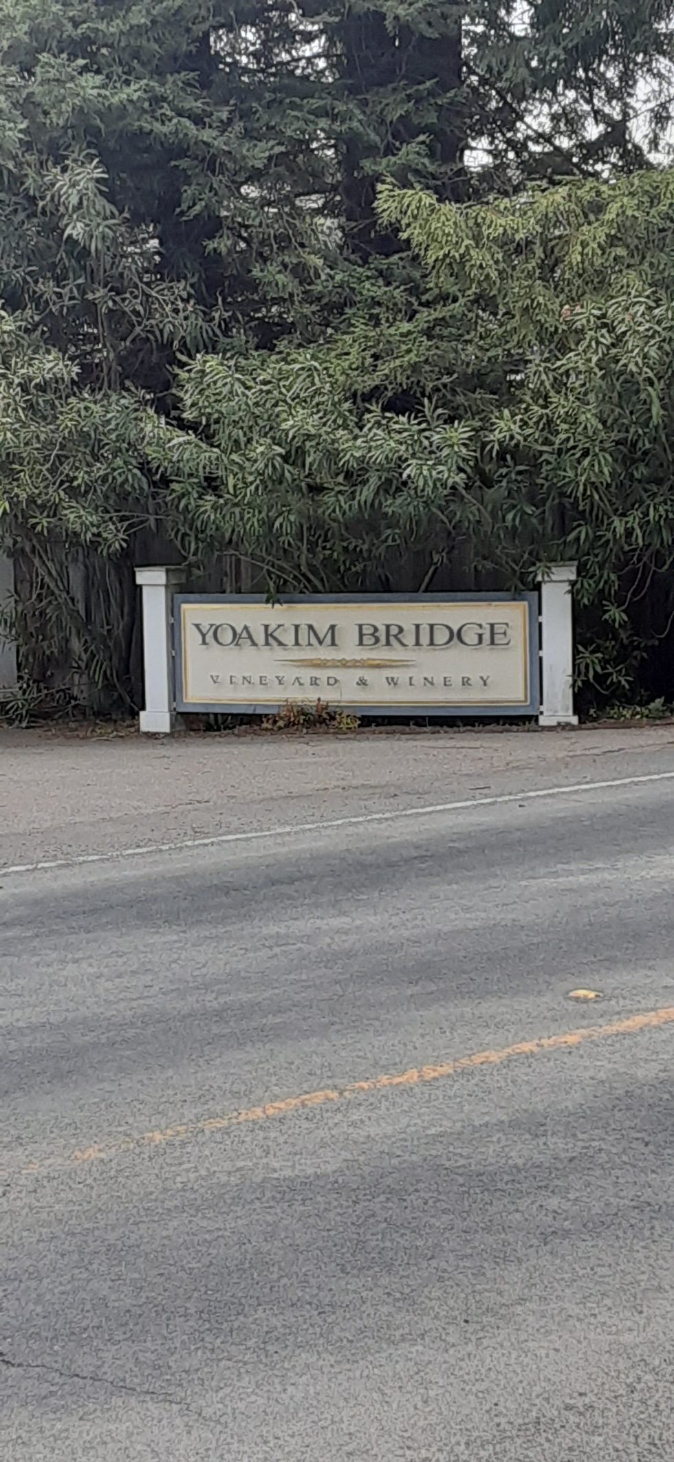 Yoakim Bridge - Carolyn Dismuke